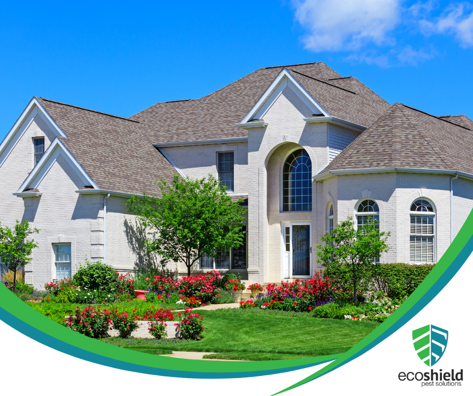 How do Pests Impact Your Home’s Safety and Value?